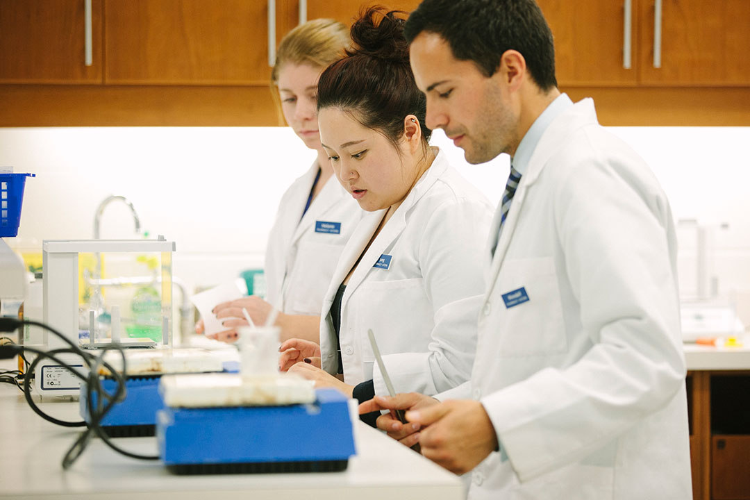 Positive accreditation results as new pharmacy program launches - News ...