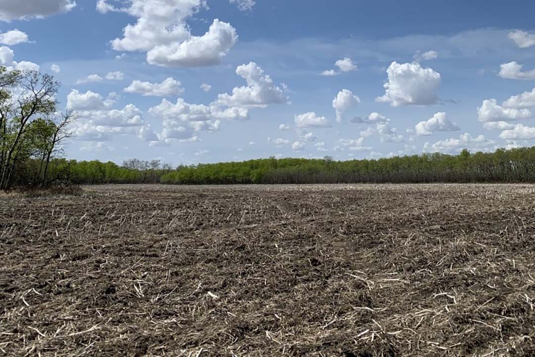 USask soil health research helps sustain and expand Indigenous farming ...