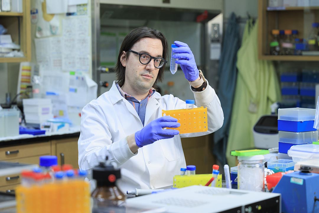 USask medical researcher earns prestigious Stem Cell Network honours in ...